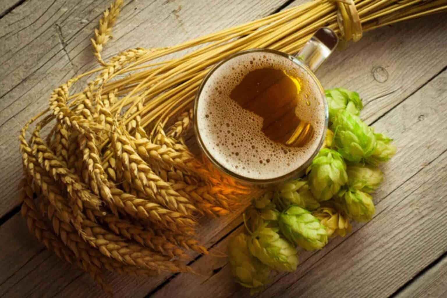 8 Popular Australian Beers You Need to Try