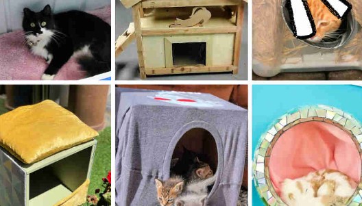 22 Cozy DIY Outdoor Cat House Plans for Happy Felines