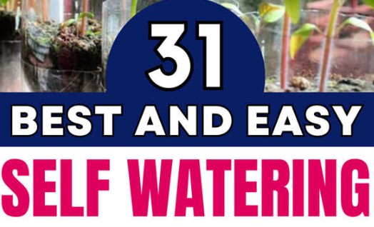 22 DIY Self Watering Planter Ideas: A Guide to Easy and Efficient Plant ...