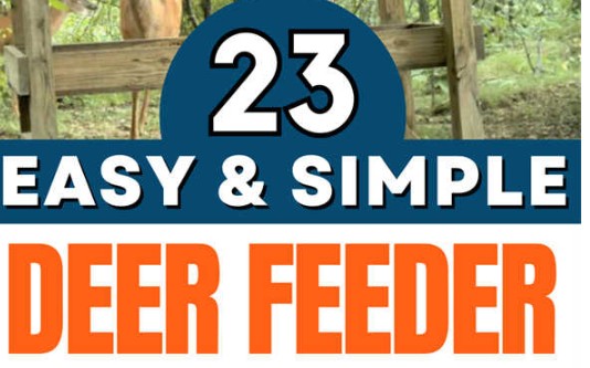 23 Creative DIY Deer Feeder Designs for Effective Feeding