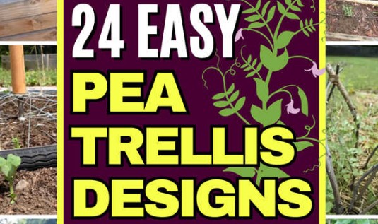 24 DIY Pea Trellis Designs for Vertical Growing