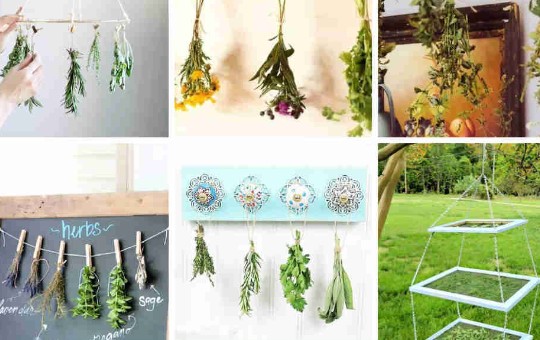 24 Practical DIY Herb Drying Rack Ideas for Fresh Herbs