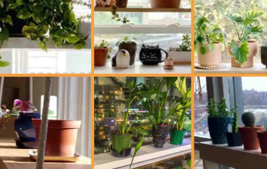 27 Charming DIY Window Plant Shelf Ideas for Green Spaces