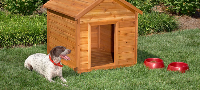 33 Creative DIY Dog House Designs You Can Build for Free