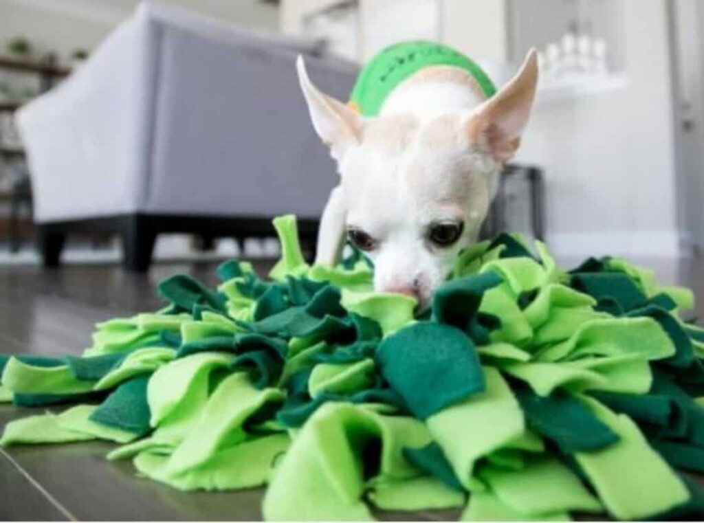 47 Creative DIY Dog Toy Ideas for Endless Fun