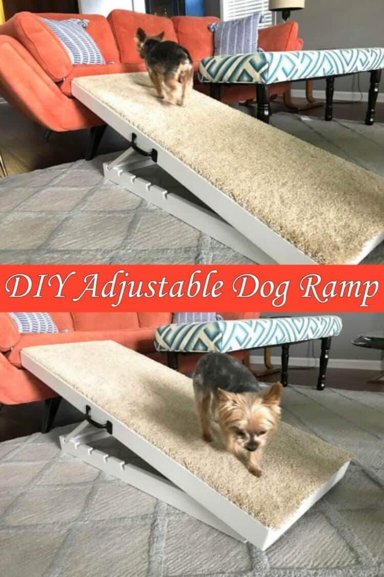 31 DIY Dog Ramp Ideas