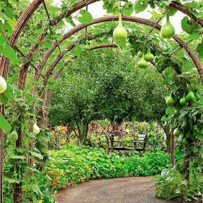 21 Creative DIY Arch Trellis Designs to Enhance Your Garden