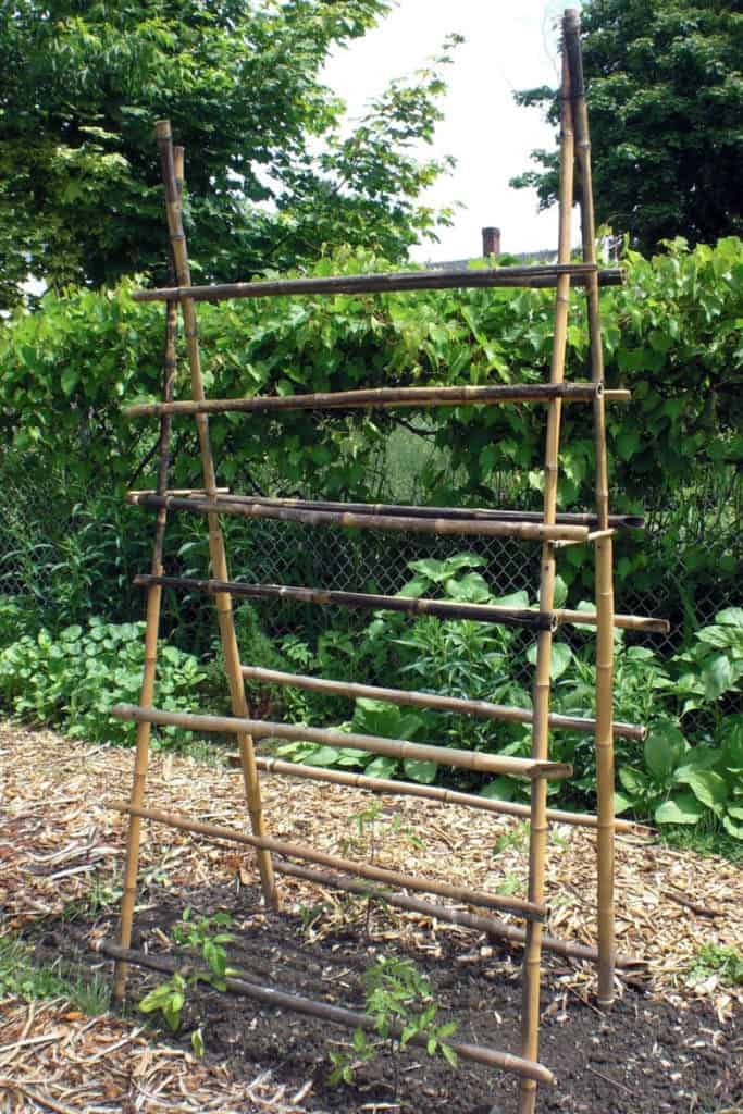 14 DIY Cucumber Trellis Designs for Efficient Gardening