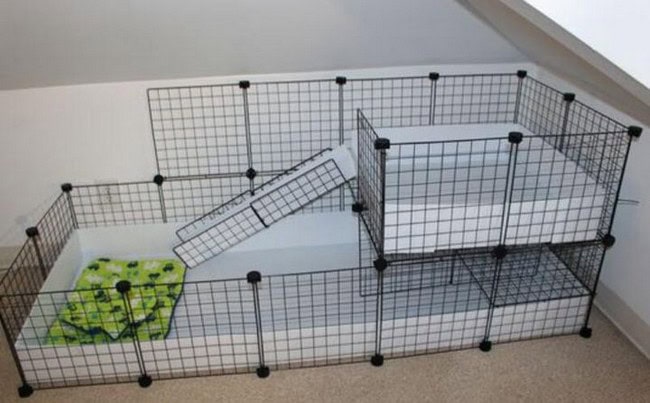 35 Creative DIY Guinea Pig Cage Ideas for Happy Pets