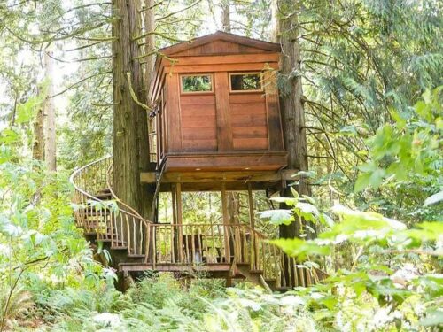 35 DIY Treehouse Designs for Fun Outdoor Living