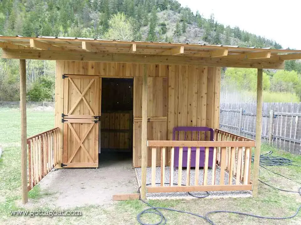 27 Practical DIY Goat Shelter Plans for Comfortable Housing