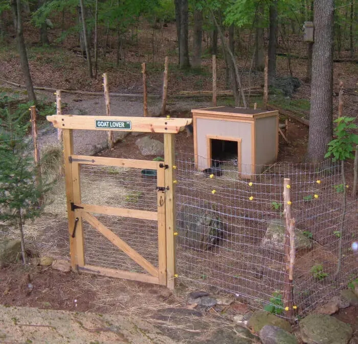 27 Practical DIY Goat Shelter Plans for Comfortable Housing