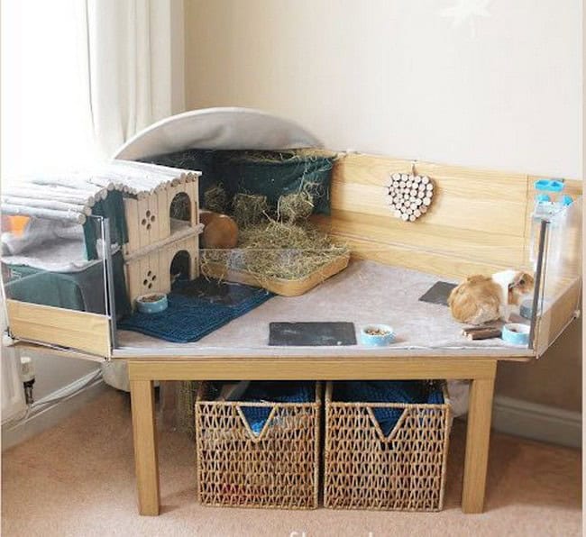35 Creative DIY Guinea Pig Cage Ideas for Happy Pets