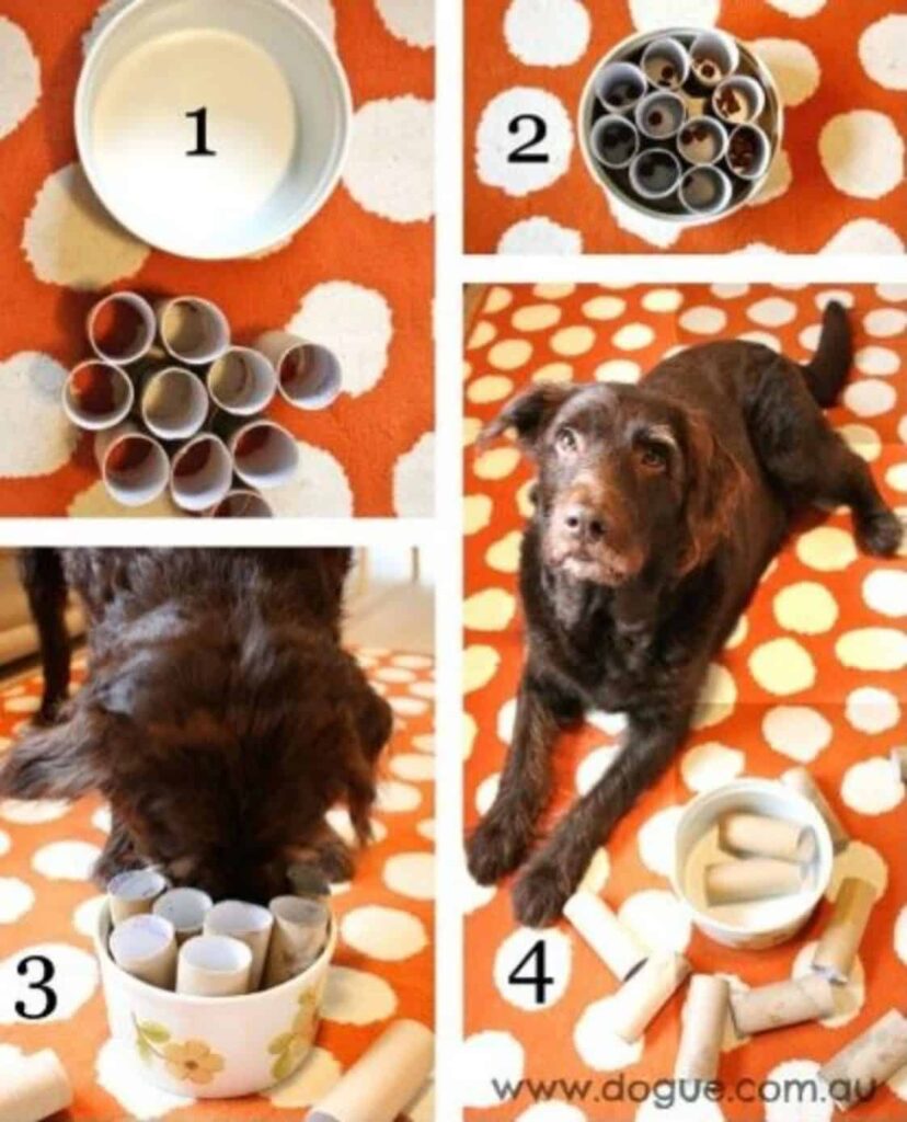 47 Creative DIY Dog Toy Ideas for Endless Fun