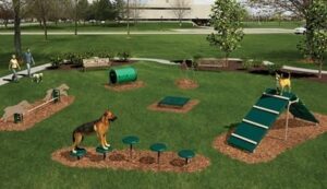 12 Best DIY Dog Run Ideas