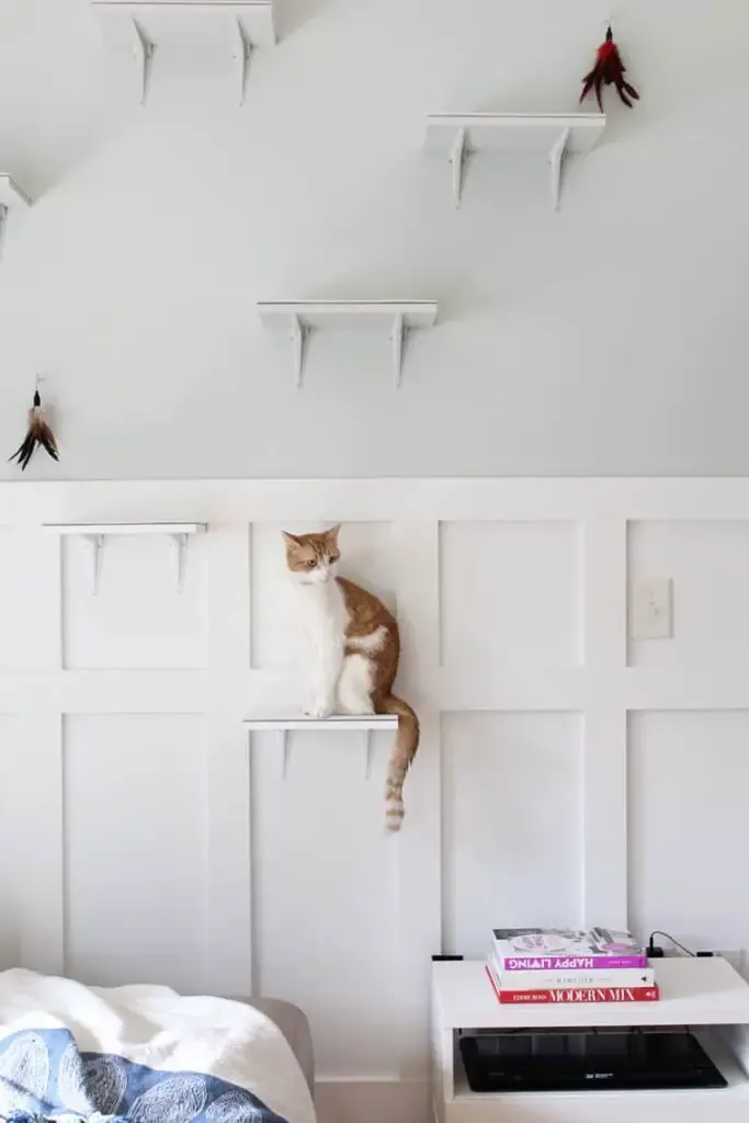 15 Fun DIY Cat Shelf Ideas for Your Feline Friends
