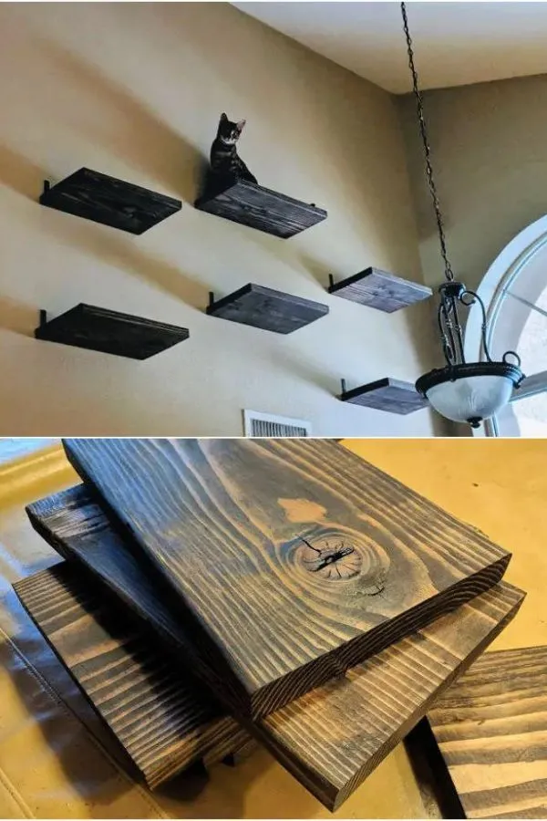 15 Fun DIY Cat Shelf Ideas for Your Feline Friends