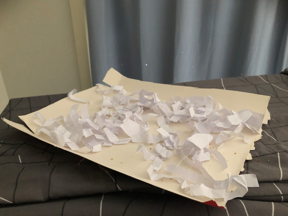 20 Creative DIY Bird Toy Ideas for Engaging Playtime