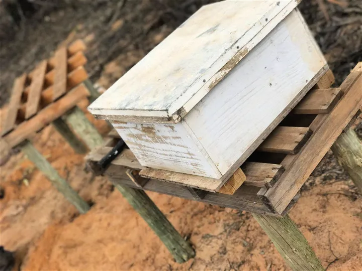 26 DIY Beehive Plans for Aspiring Beekeepers