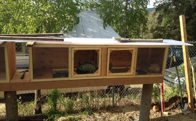 33 Ingenious DIY Rabbit Hutch Designs