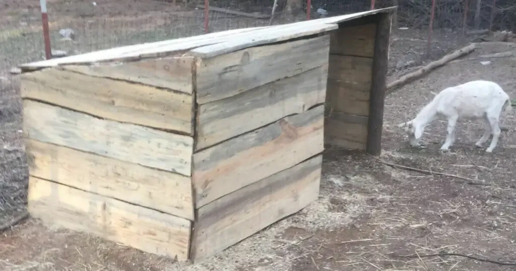 27 Practical DIY Goat Shelter Plans for Comfortable Housing