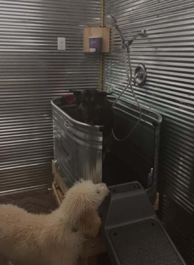29 DIY Dog Wash Station Designs for Convenient Grooming