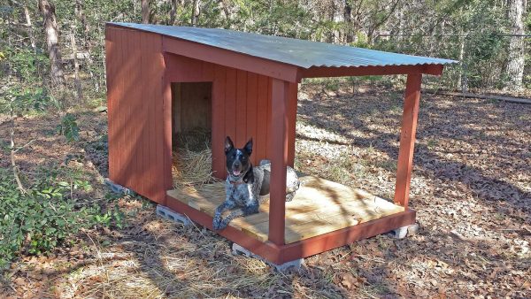 33 Creative DIY Dog House Designs You Can Build for Free