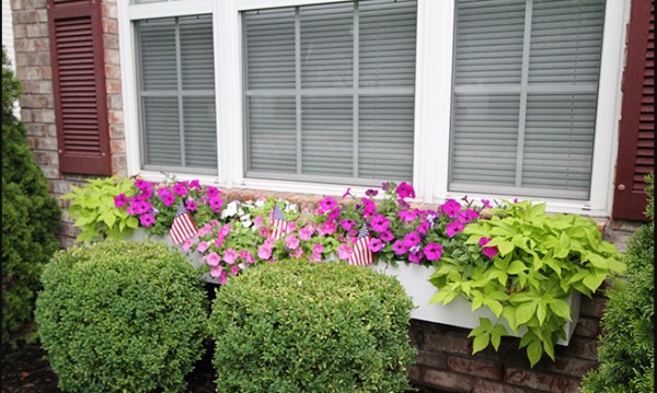 17 DIY Window Box Ideas for Beautiful Blooms