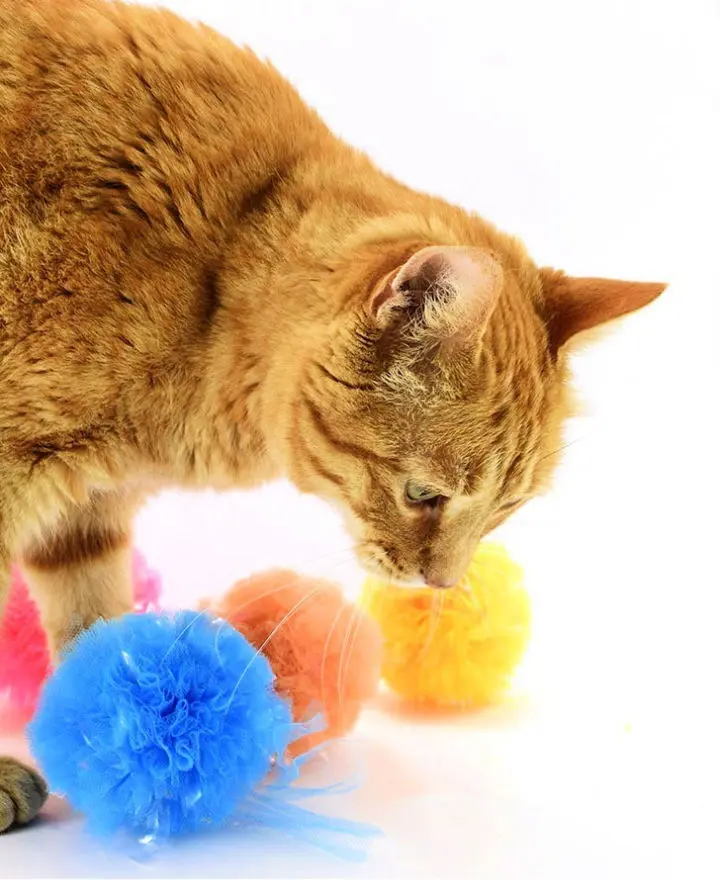 25 Creative DIY Cat Toy Ideas and Plans for Playful Pets