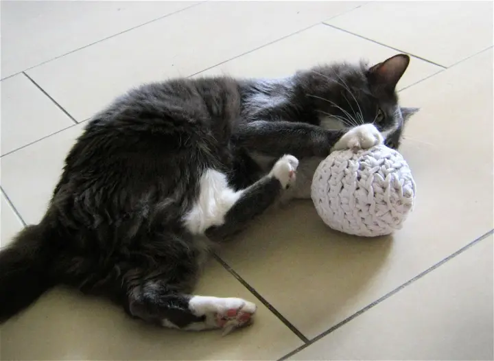 25 Creative DIY Cat Toy Ideas and Plans for Playful Pets