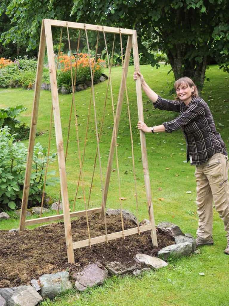 14 DIY Cucumber Trellis Designs for Efficient Gardening