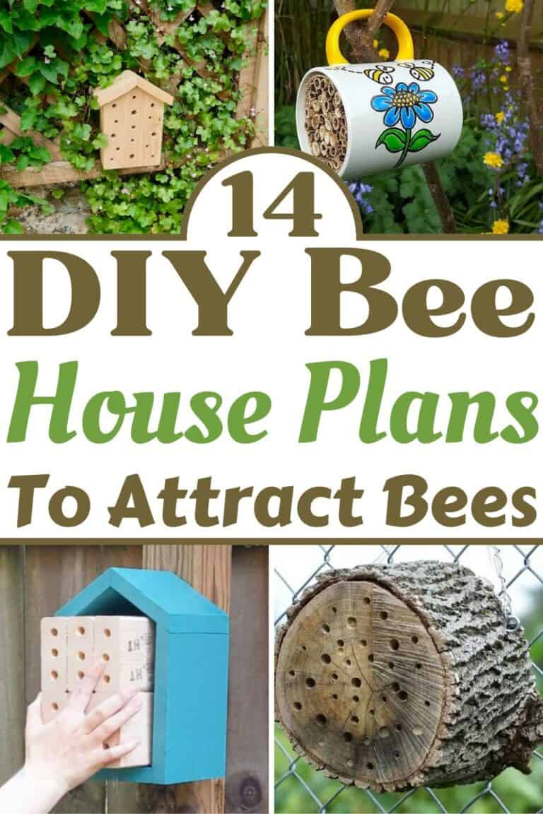 15 DIY Bee House Plans to Foster a Bee-Friendly Environment