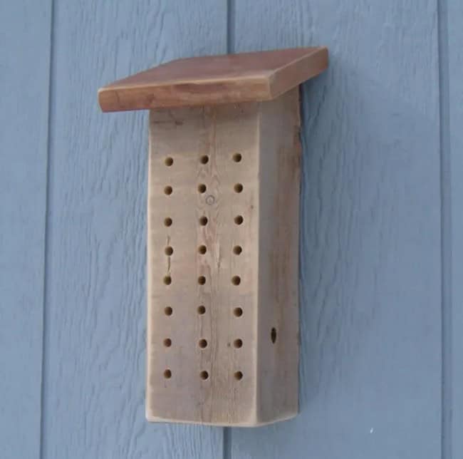 15 DIY Bee House Plans to Foster a Bee-Friendly Environment