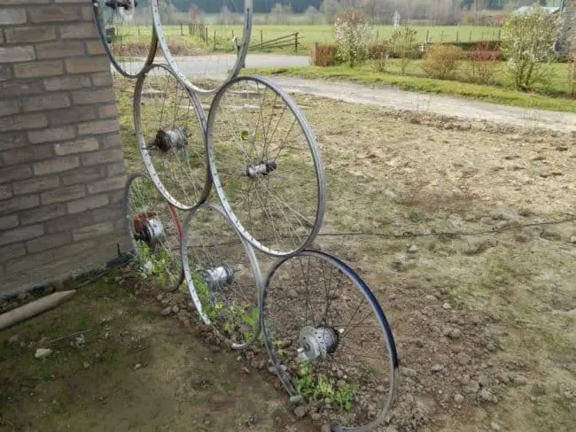 24 DIY Pea Trellis Designs for Vertical Growing
