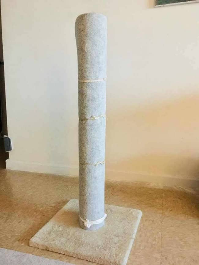 29 DIY Cat Scratching Post Ideas