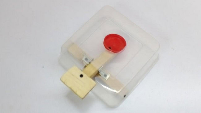 21 Best DIY Cat Feeder Plans to Enhance Your Cat's Dining Experience