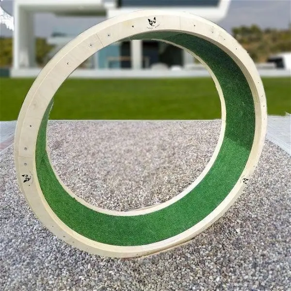 16 Creative DIY Cat Wheel Designs for Indoor Fun