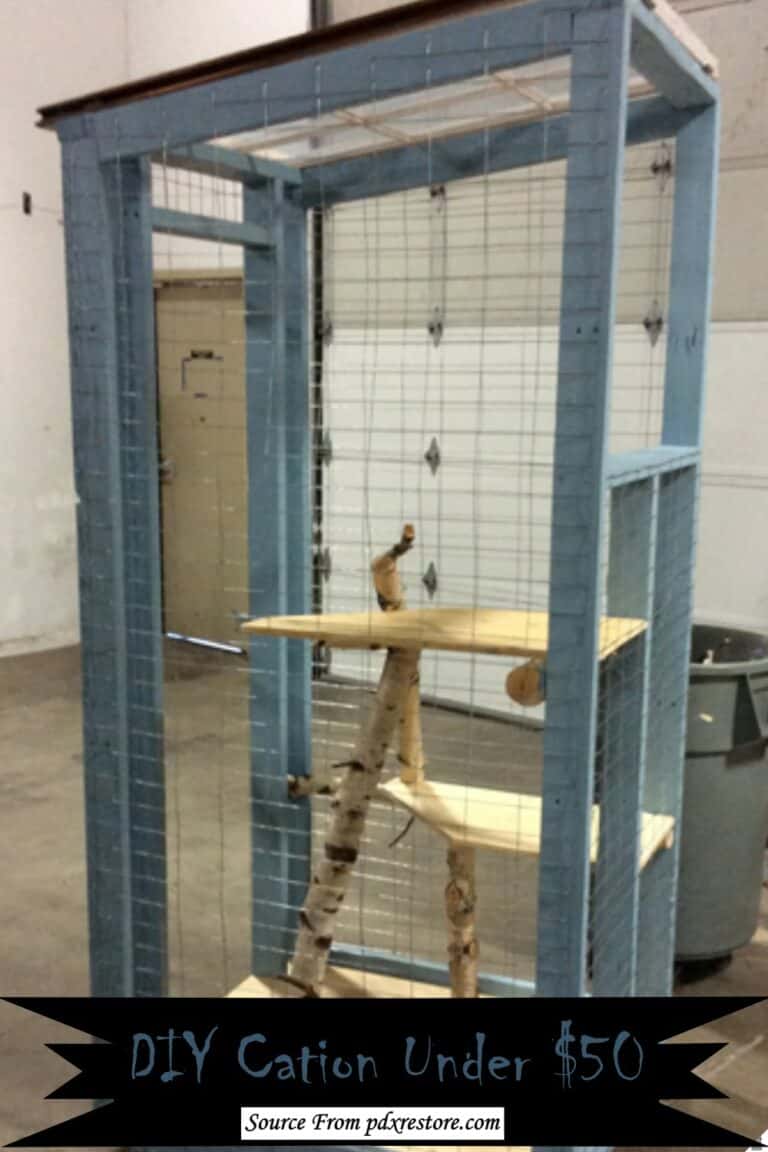 22 Creative DIY Catio Ideas for Your Feline Friends