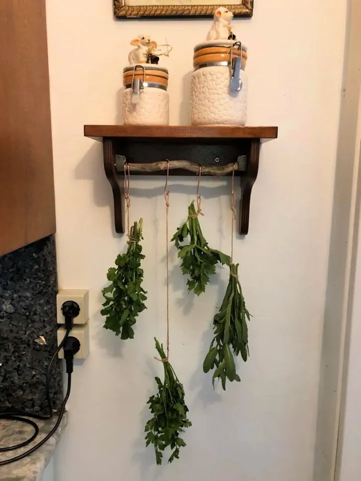 24 Practical DIY Herb Drying Rack Ideas for Fresh Herbs