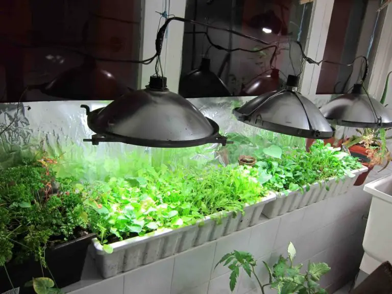 35 Innovative DIY Indoor Greenhouse Ideas for Growing Fresh Herbs