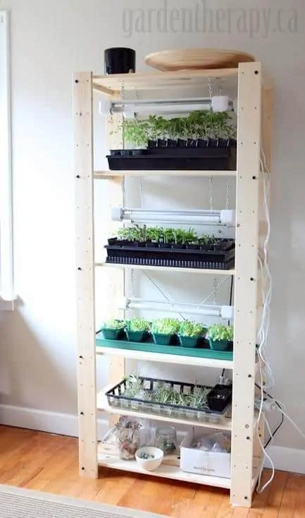 35 Innovative DIY Indoor Greenhouse Ideas for Growing Fresh Herbs