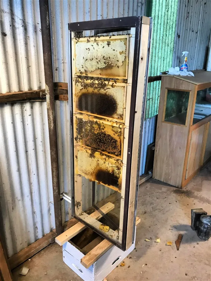 26 DIY Beehive Plans for Aspiring Beekeepers