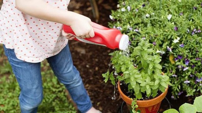 21 Creative DIY Watering Can Projects for Garden Enthusiasts