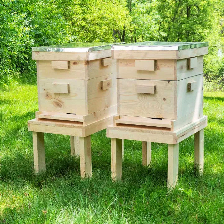 26 DIY Beehive Plans for Aspiring Beekeepers