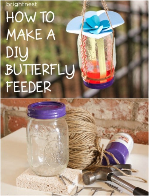 25+ Creative DIY Butterfly Feeder Designs for Your Garden