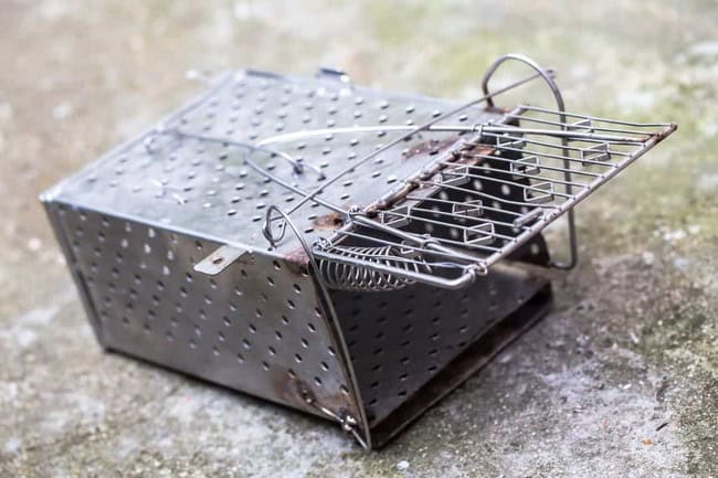 12 Effective DIY Mouse Trap Designs for Home Use