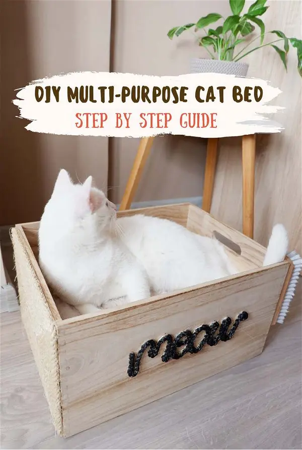 24 Cozy DIY Cat Bed Ideas for Your Furry Friend