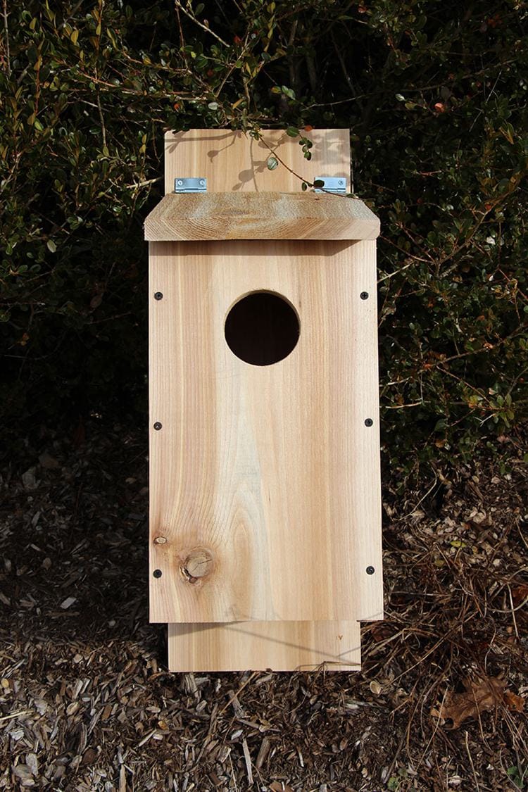 24 Amazing DIY Owl House Plans for Your Backyard Sanctuary