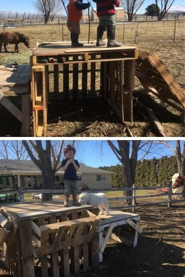27 Practical Diy Goat Shelter Plans For Comfortable Housing