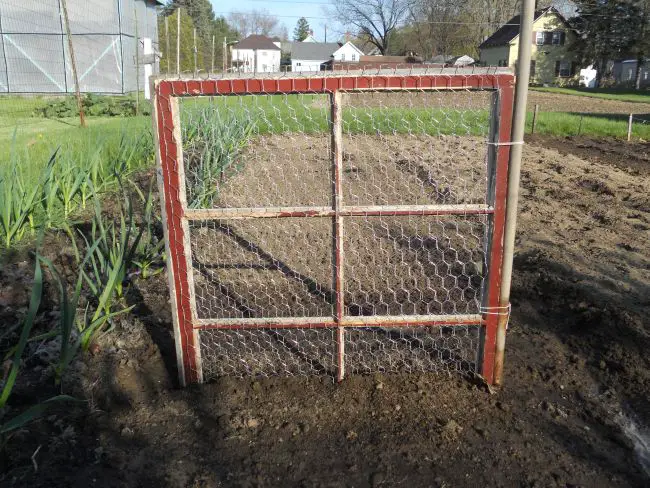 24 DIY Pea Trellis Designs for Vertical Growing